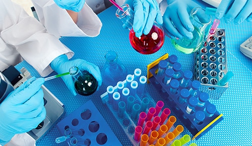 BTS Métiers de la Chimie Lycée Notre Dame Chartres - AFI24